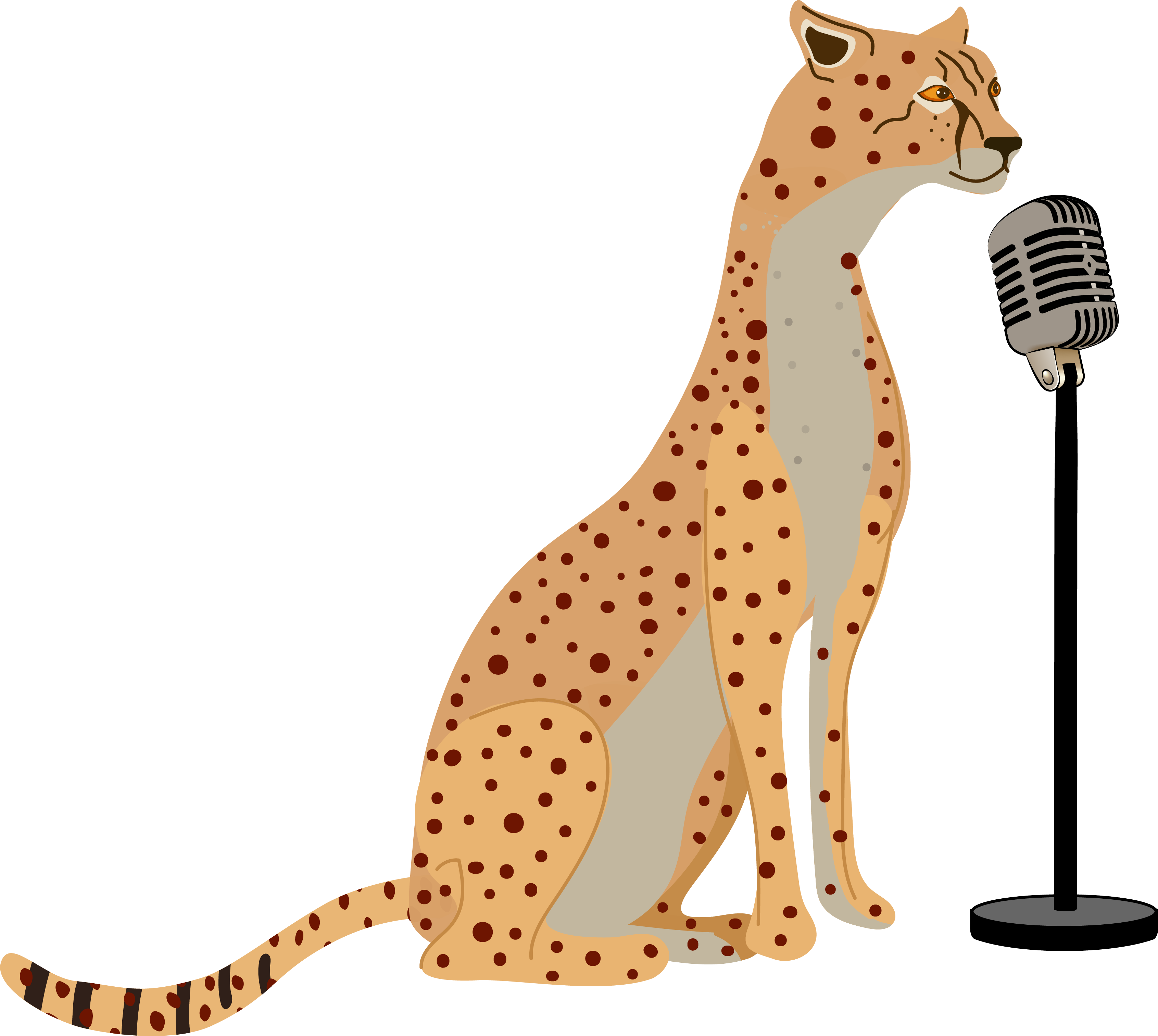 Singing Cheetah Supply